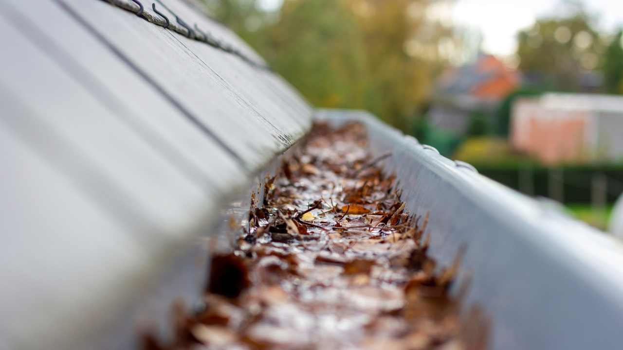 Emergency Gutter Cleaning After Storm Damage | Window Hero
