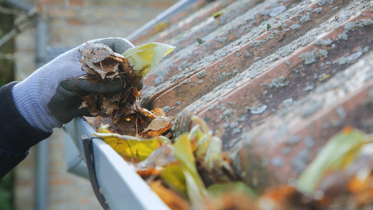 The True Cost of a Clogged Gutter System & Water Damage