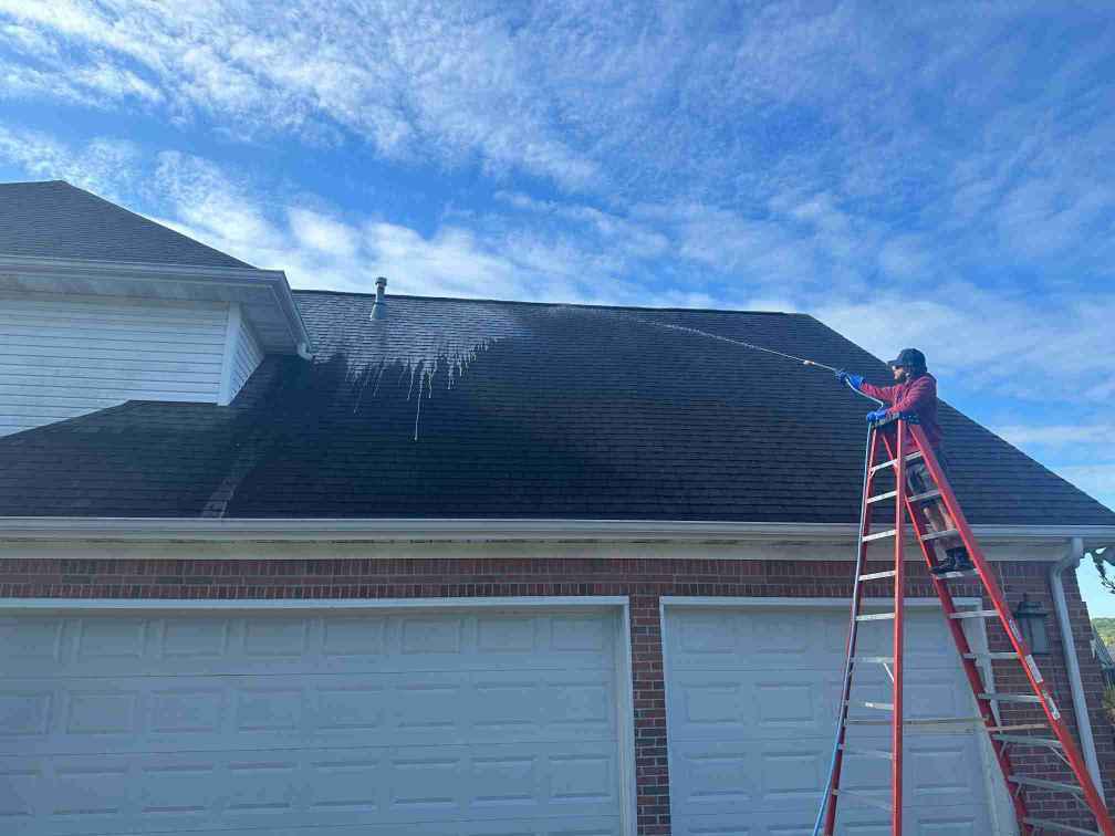 How to Soft Wash a Roof | Window Hero