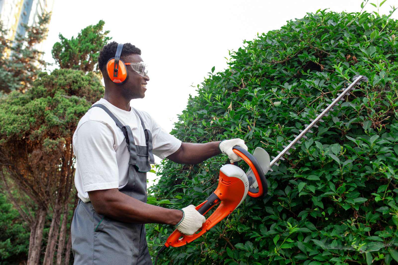 Spring Maintenance Checklist: 8 Outdoor Chores to Do This Season ...
