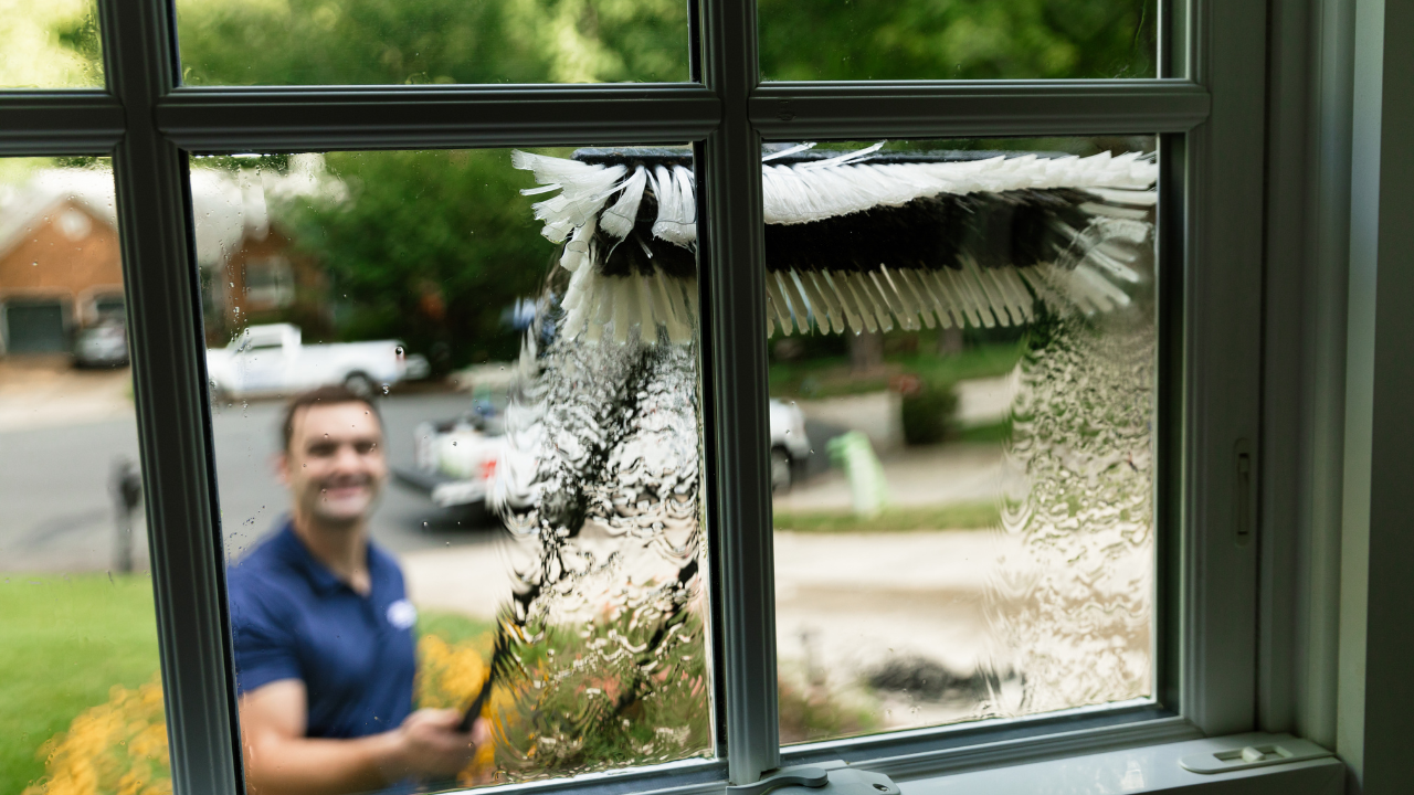 Window Cleaning Care Guide: Beyond Basic Glass Cleaning Tips